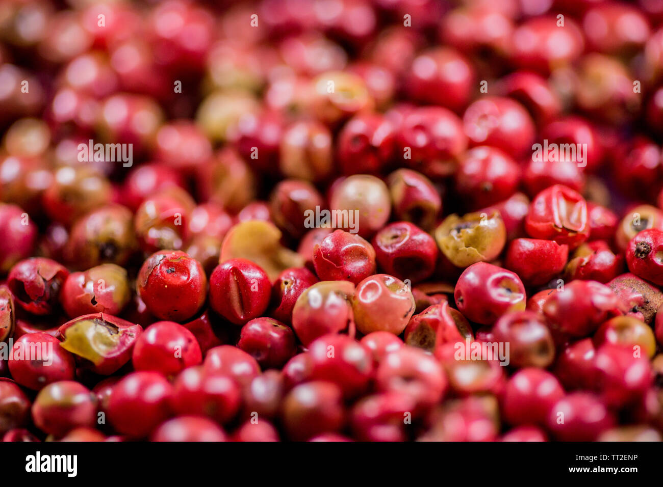 black pepper raw berries Stock Photo - Alamy