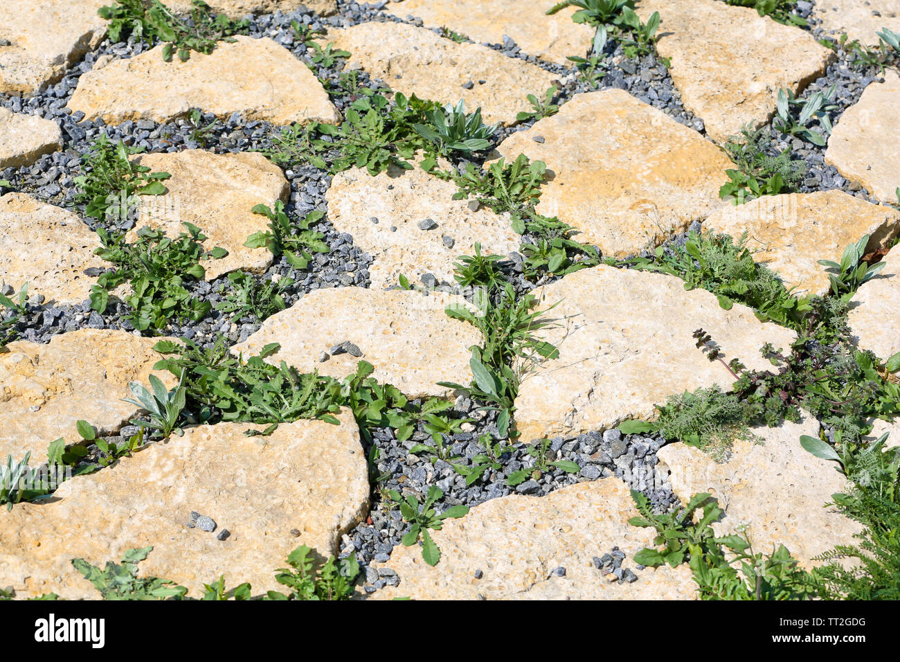 Stone trail , close-up Stock Photo - Alamy