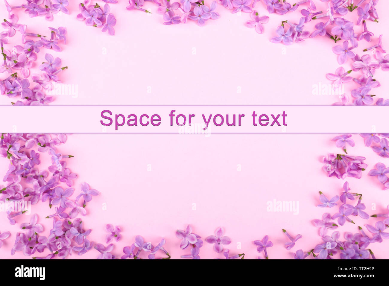 Beautiful lilac flowers frame on pink background Stock Photo - Alamy