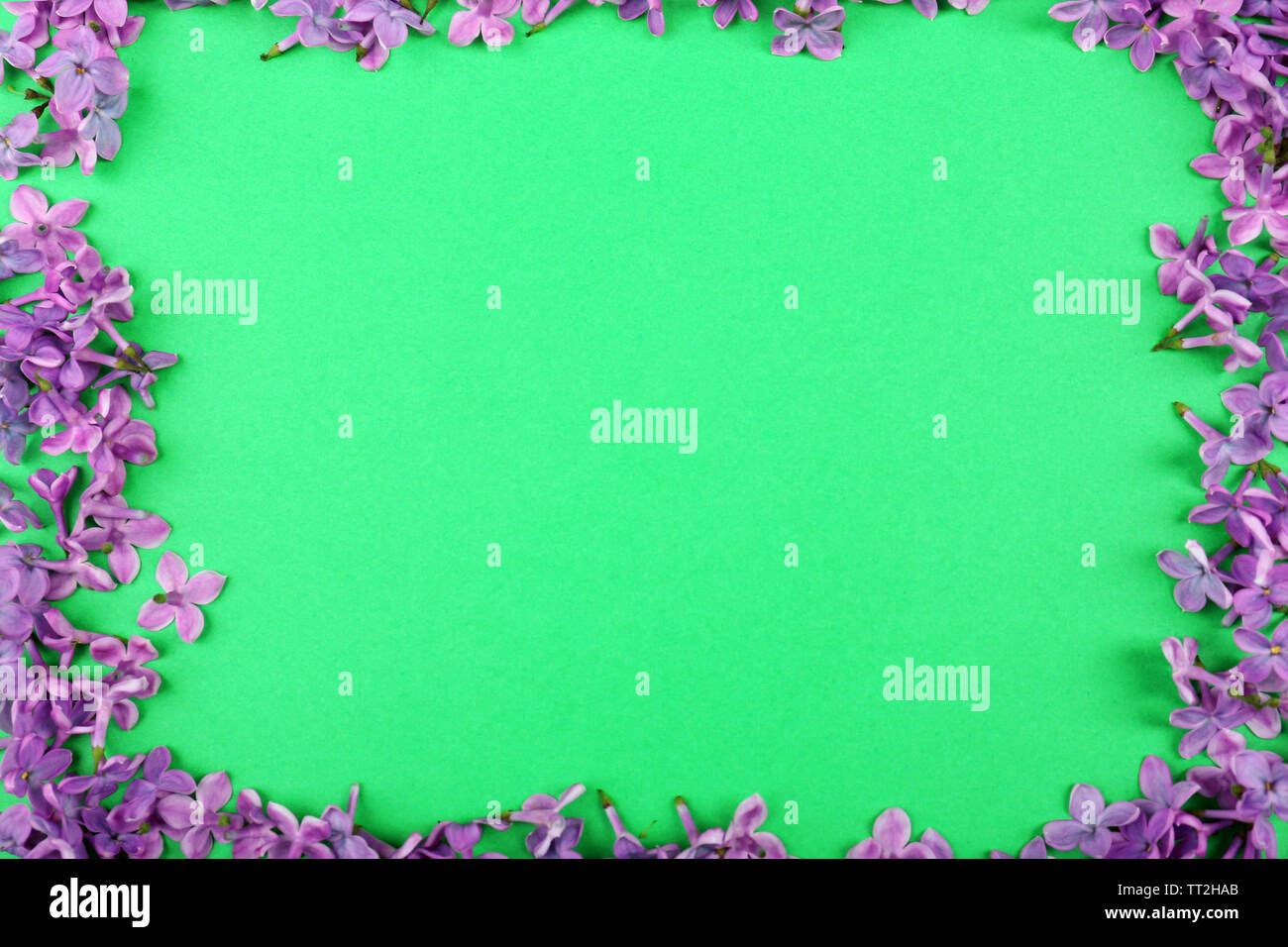 Beautiful lilac flowers frame on green background Stock Photo - Alamy