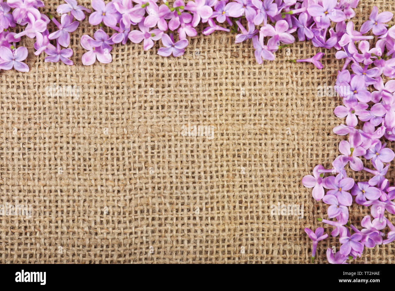 Beautiful lilac flowers frame on burlap background Stock Photo - Alamy