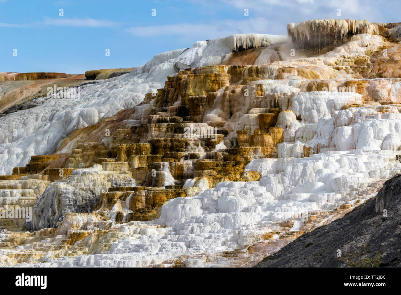 Palette Spring at Mammoth Hot Springs in Yellowstone National Park ...