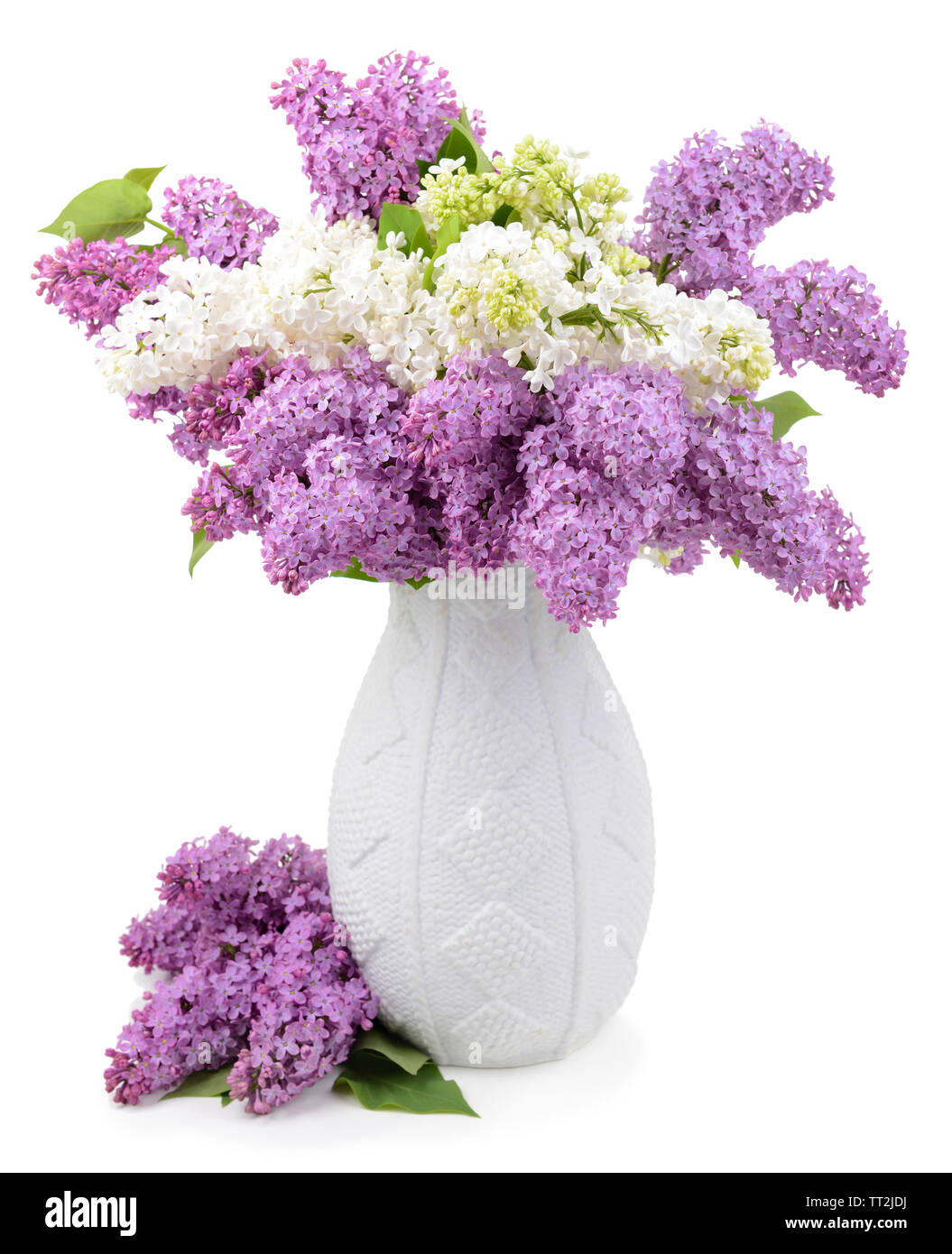 Beautiful lilac flowers in vase isolated on white Stock Photo - Alamy