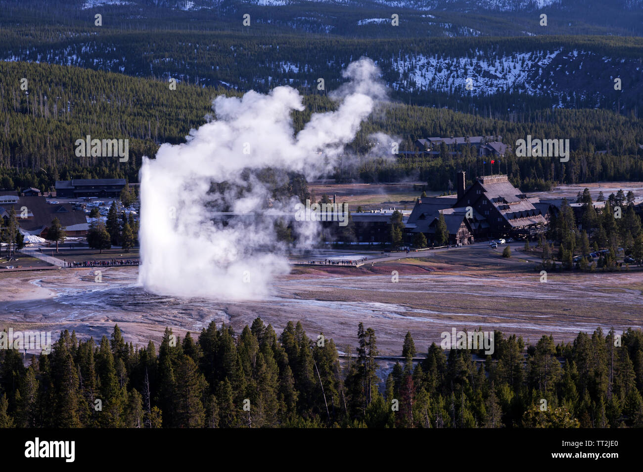Old Faithful geyser erupts in Yellowstone National Park Stock Photo - Alamy