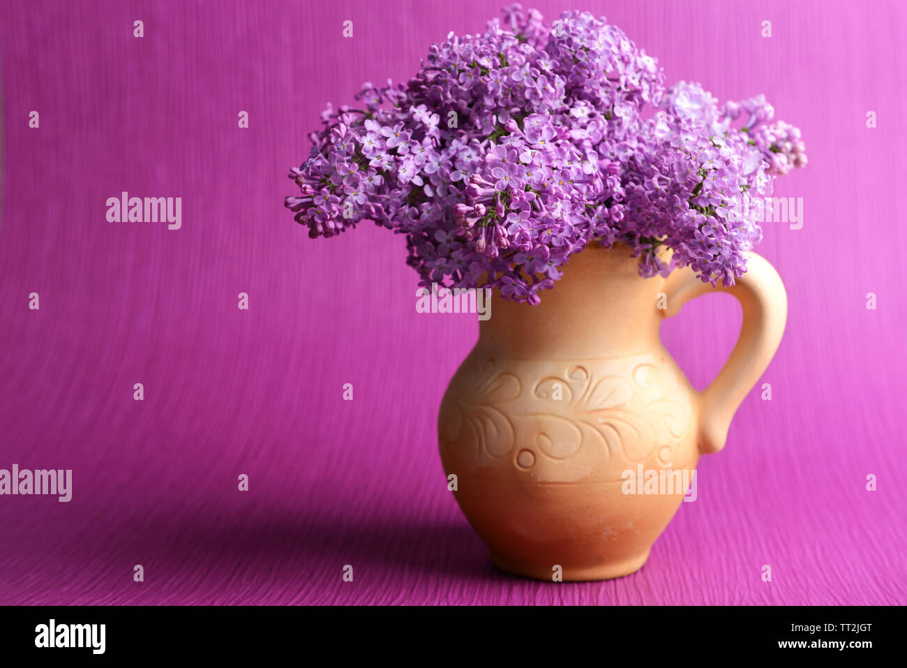Beautiful lilac flowers in pitcher on purple background Stock Photo - Alamy