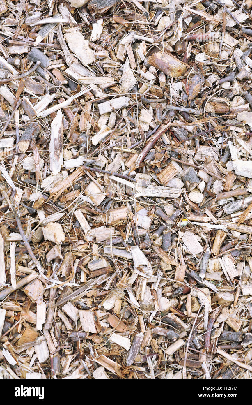 Mulched wood bark ground hi-res stock photography and images - Alamy