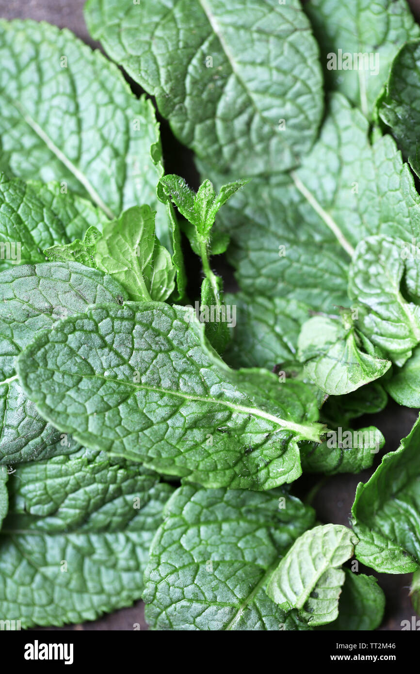 Mint leaves background Stock Photo - Alamy