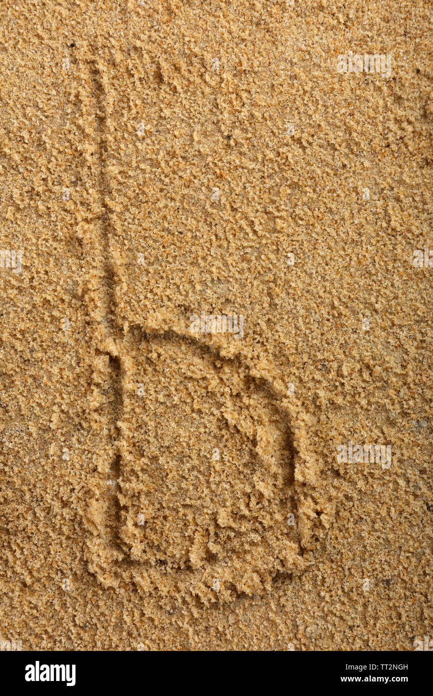 Alphabet letter written on wet beach sand Stock Photo - Alamy