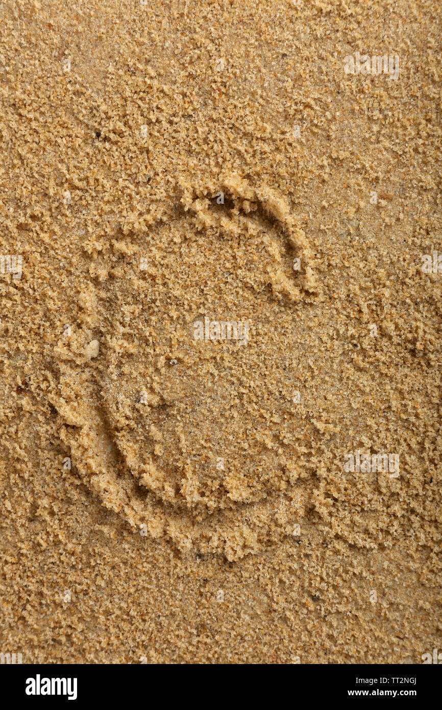 Alphabet letter written on wet beach sand Stock Photo - Alamy