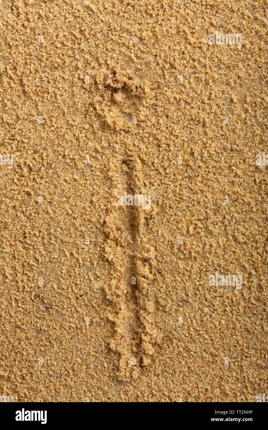 Alphabet letter written on wet beach sand Stock Photo - Alamy