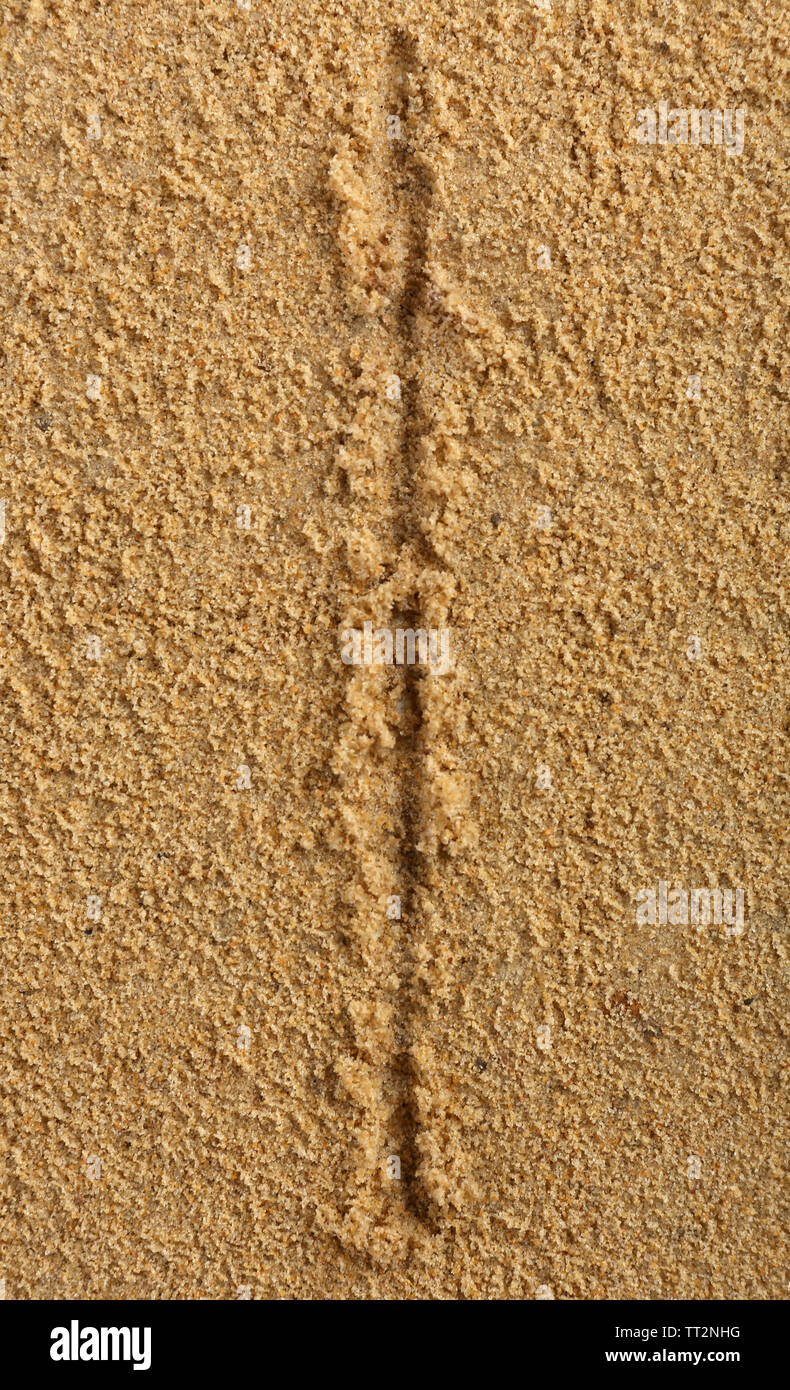 Alphabet letter written on wet beach sand Stock Photo - Alamy
