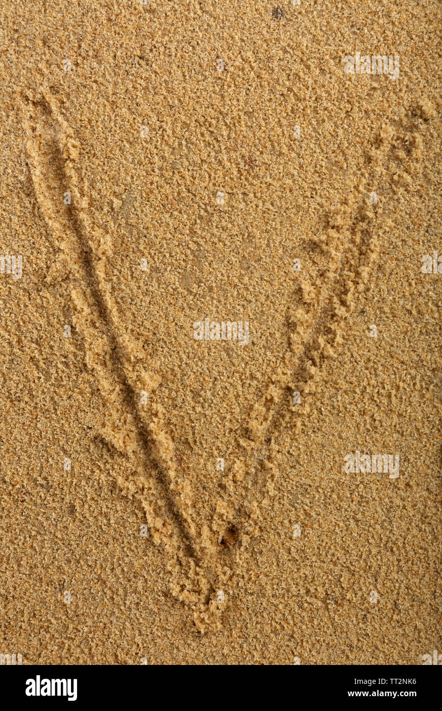 Alphabet letter written on wet beach sand Stock Photo - Alamy