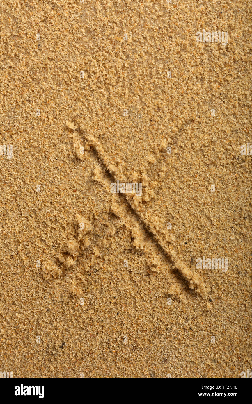 Alphabet letter written on wet beach sand Stock Photo - Alamy