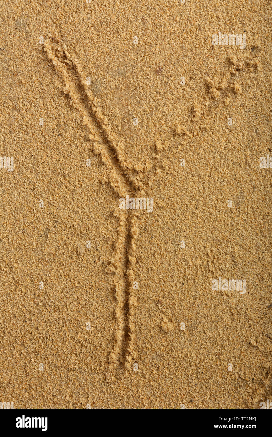 Alphabet letter written on wet beach sand Stock Photo - Alamy