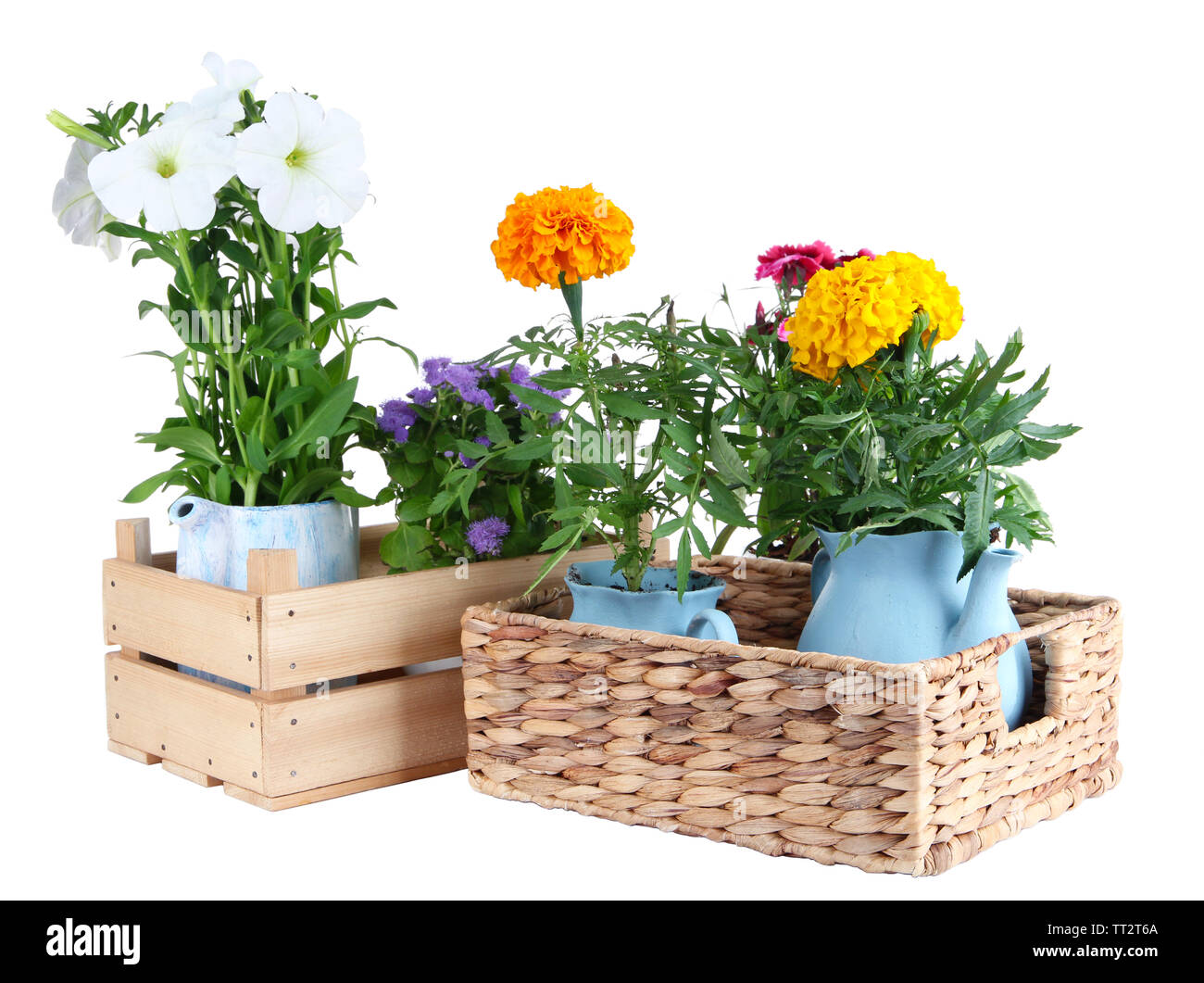 Flowers in decorative pots, in boxes isolated on white Stock Photo - Alamy