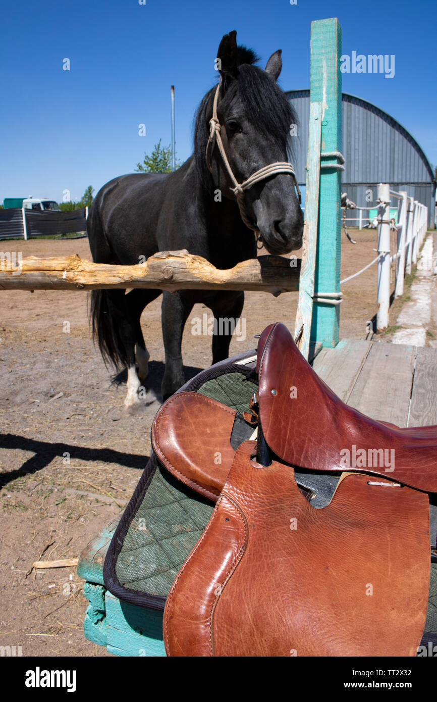 horse saddle near barn and racetrack in summer day Stock Photo - Alamy