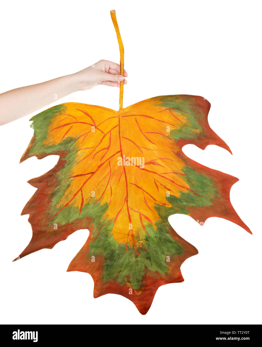 Hand holding maple leaf Cut Out Stock Images & Pictures - Alamy