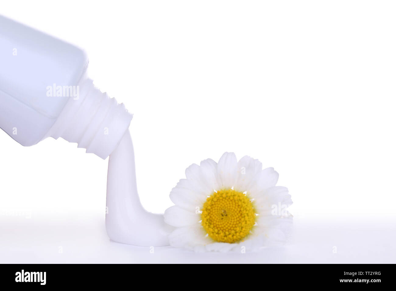 Toothpaste squeezed from tube, chamomile flower, close-up, isolated on ...