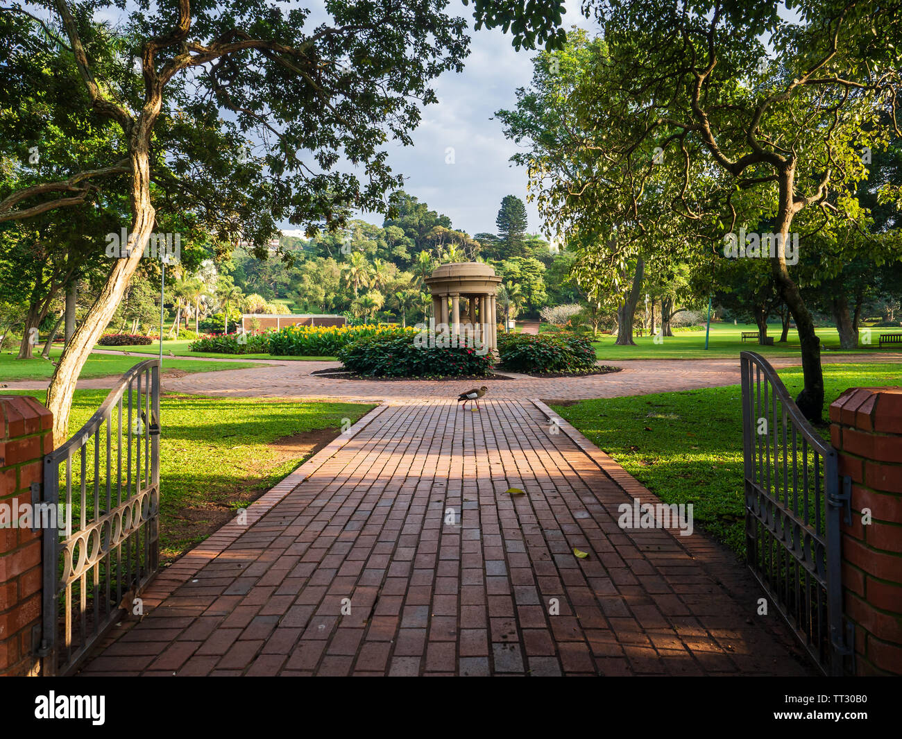 Durban, Nature, Sunrise, Sunset Stock Photo - Alamy