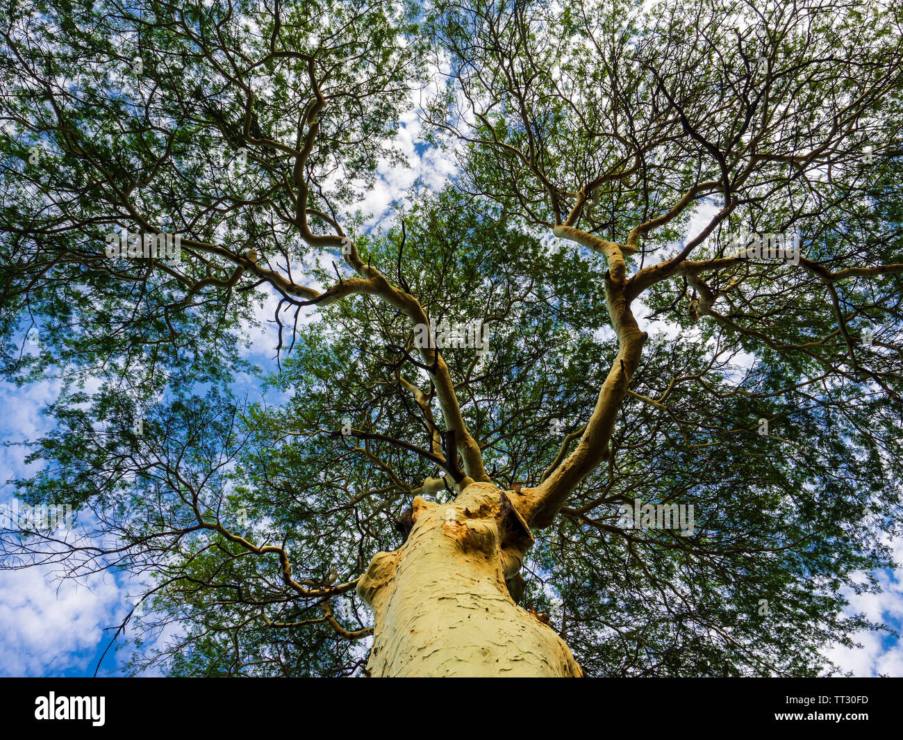 Durban, Nature, Sunrise, Sunset Stock Photo - Alamy