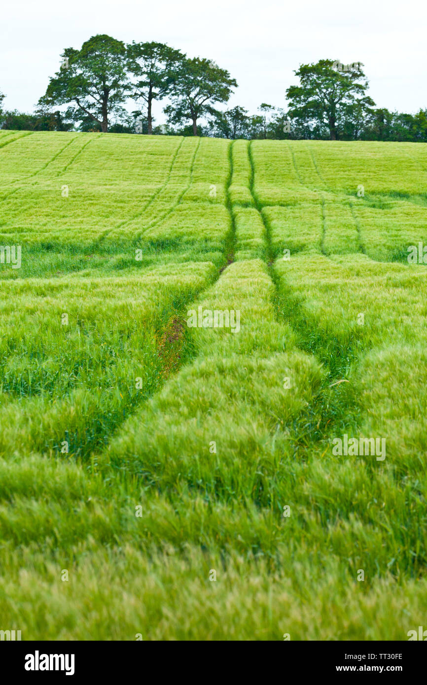 Ballymoney, county antrim hi-res stock photography and images - Alamy