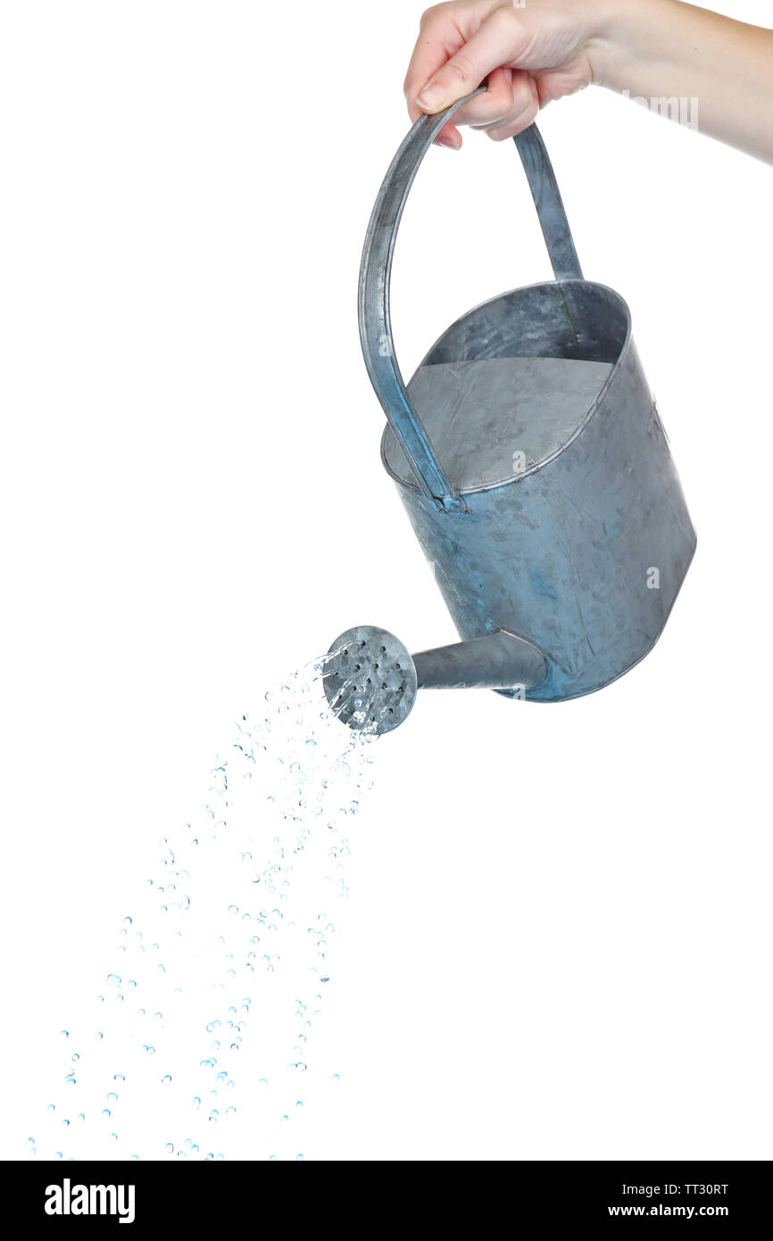 Water pouring from watering can isolated on white Stock Photo - Alamy