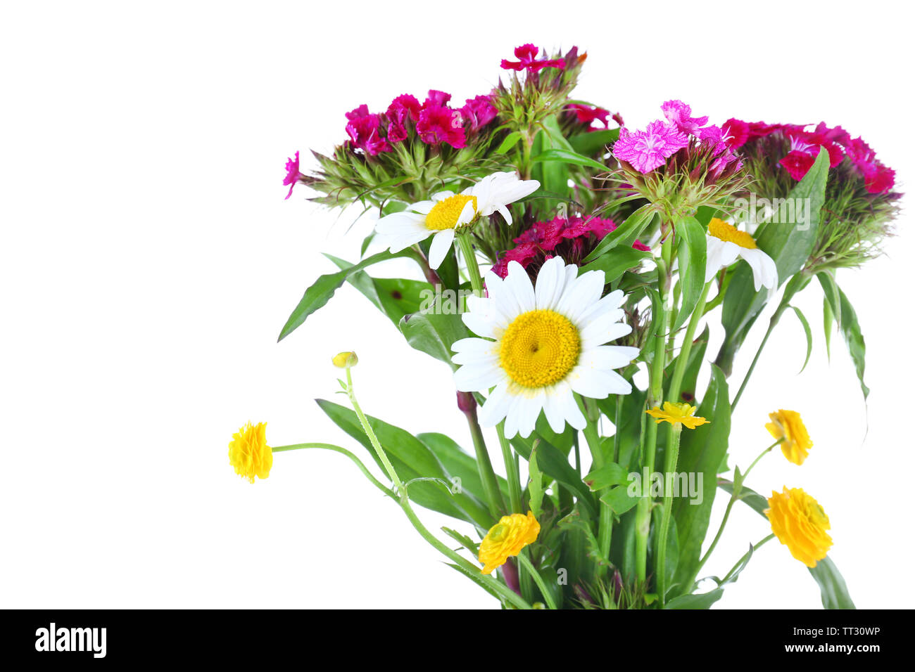 Wildflowers pretty Cut Out Stock Images & Pictures - Alamy