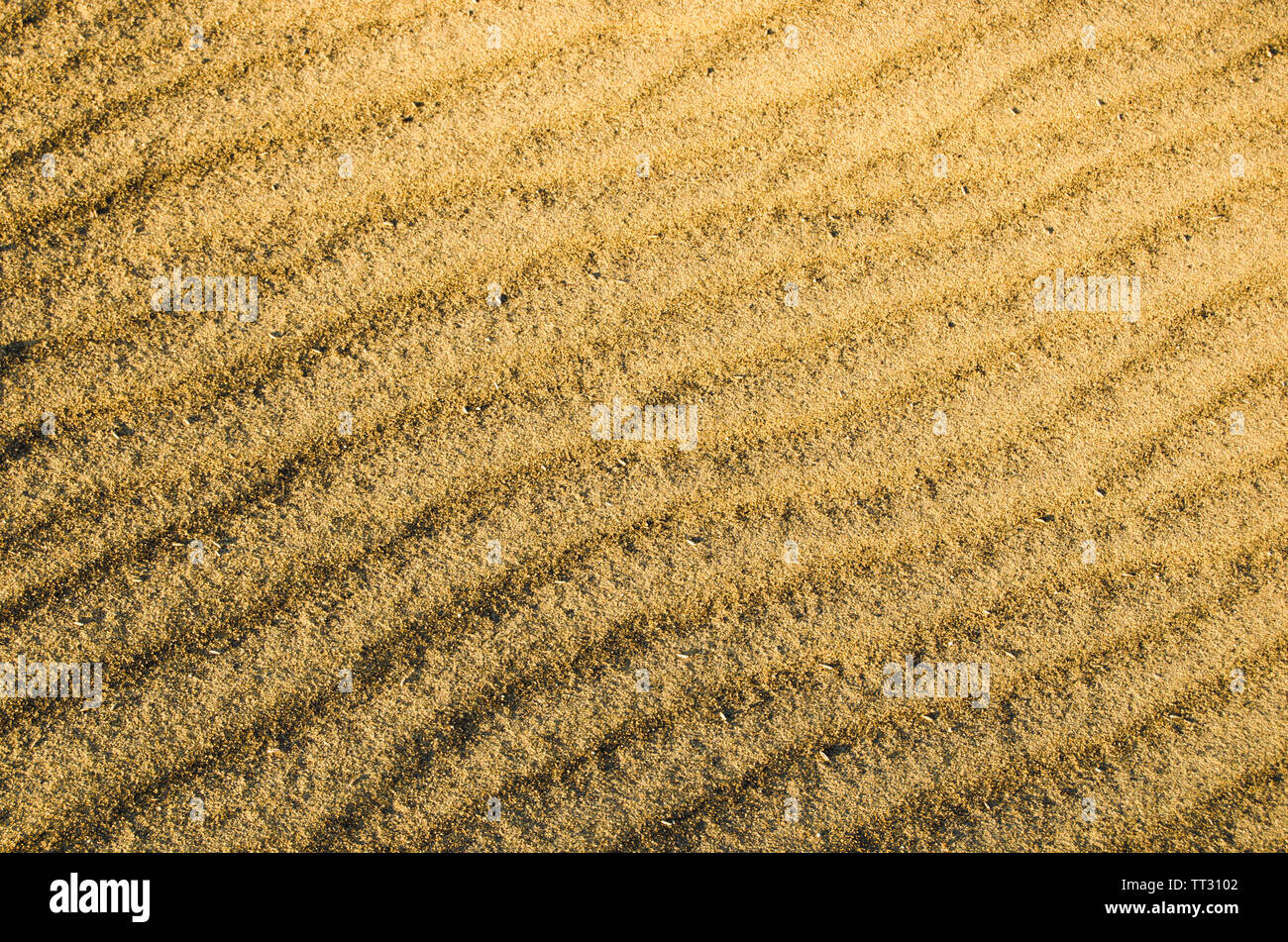 Yellow sand desert dunes.Drought, arid climate.Martian surface.Close up ...