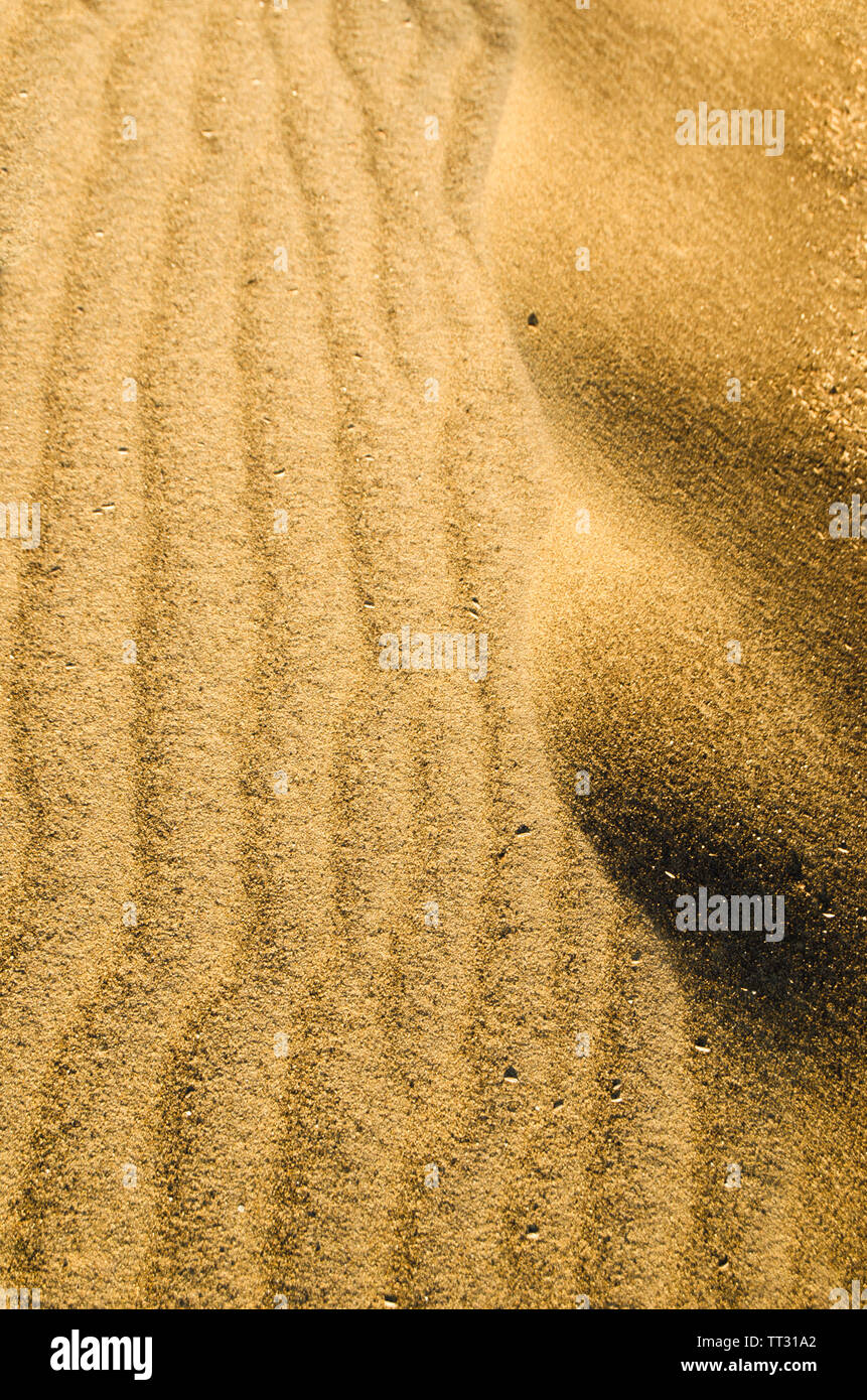 Yellow sand desert dunes.Drought, arid climate.Martian surface.Close up ...