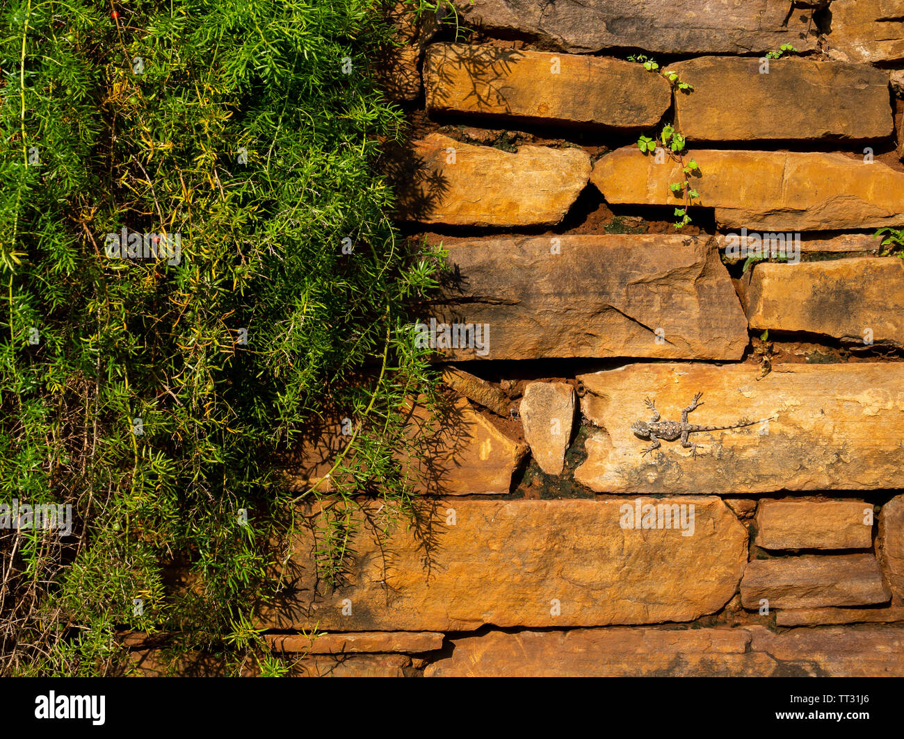 Durban, Nature, Sunrise, Sunset Stock Photo - Alamy