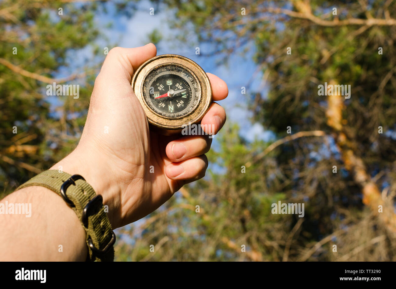 Man's hand holds compass against blue sky and coniferous forest on Sunny day Stock Photo - Alamy