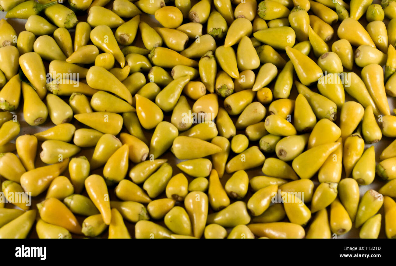 pickle ghost green chilli cayenne pepper texture pattern top view Stock ...