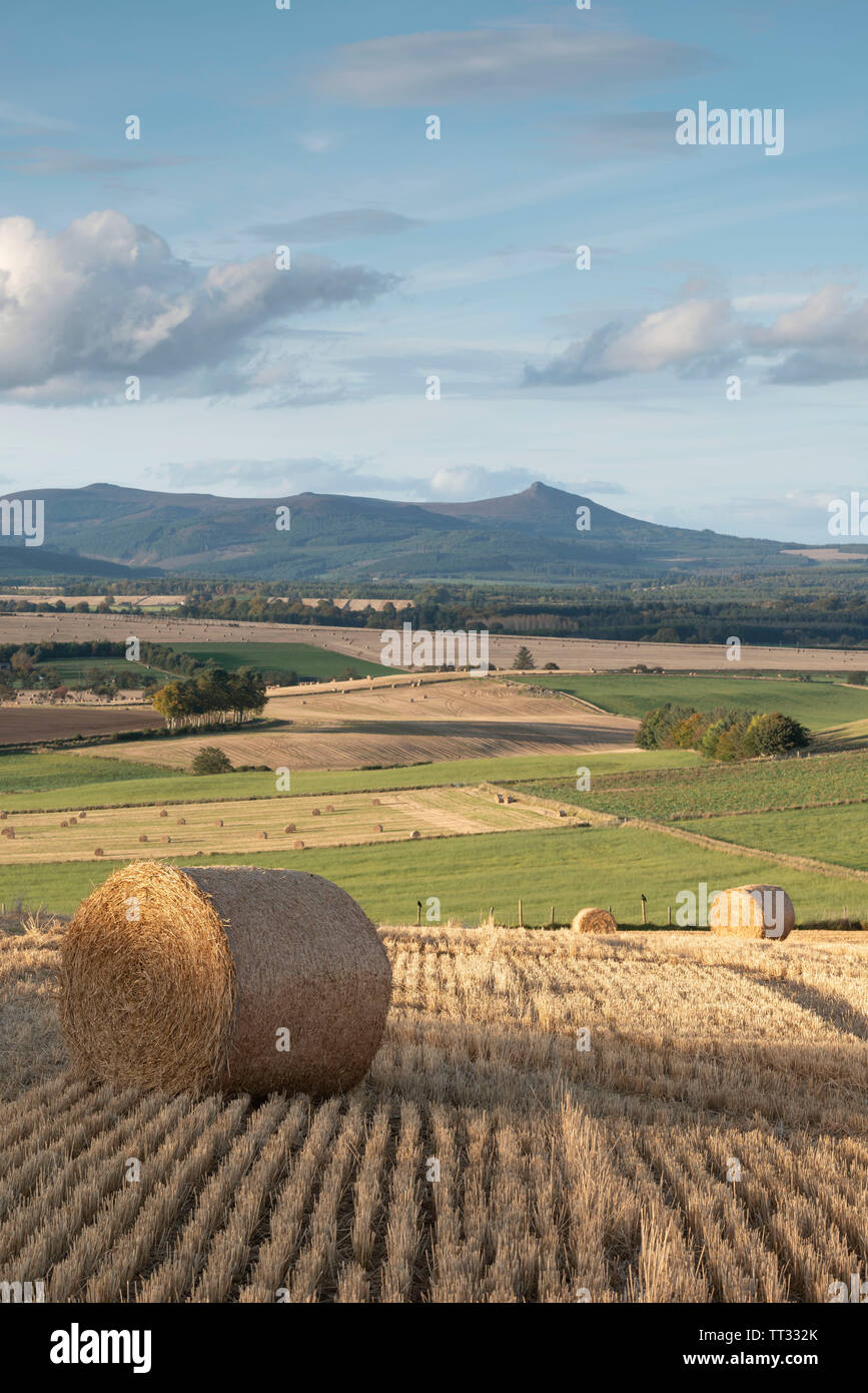 An Autumnal View Towards Bennachie in Aberdeenshire with Straw Bales in ...