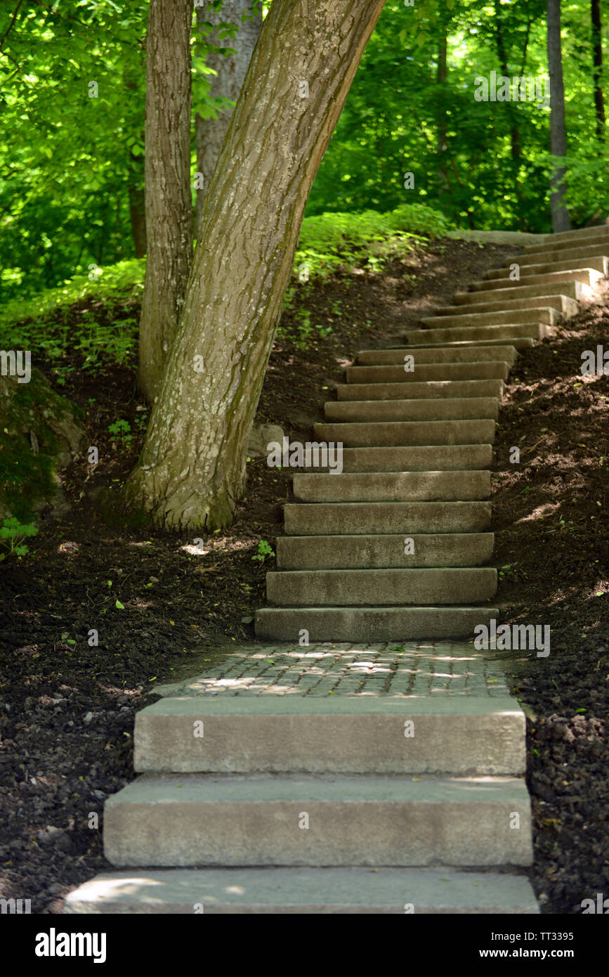 Stone trail in park outdoors Stock Photo - Alamy