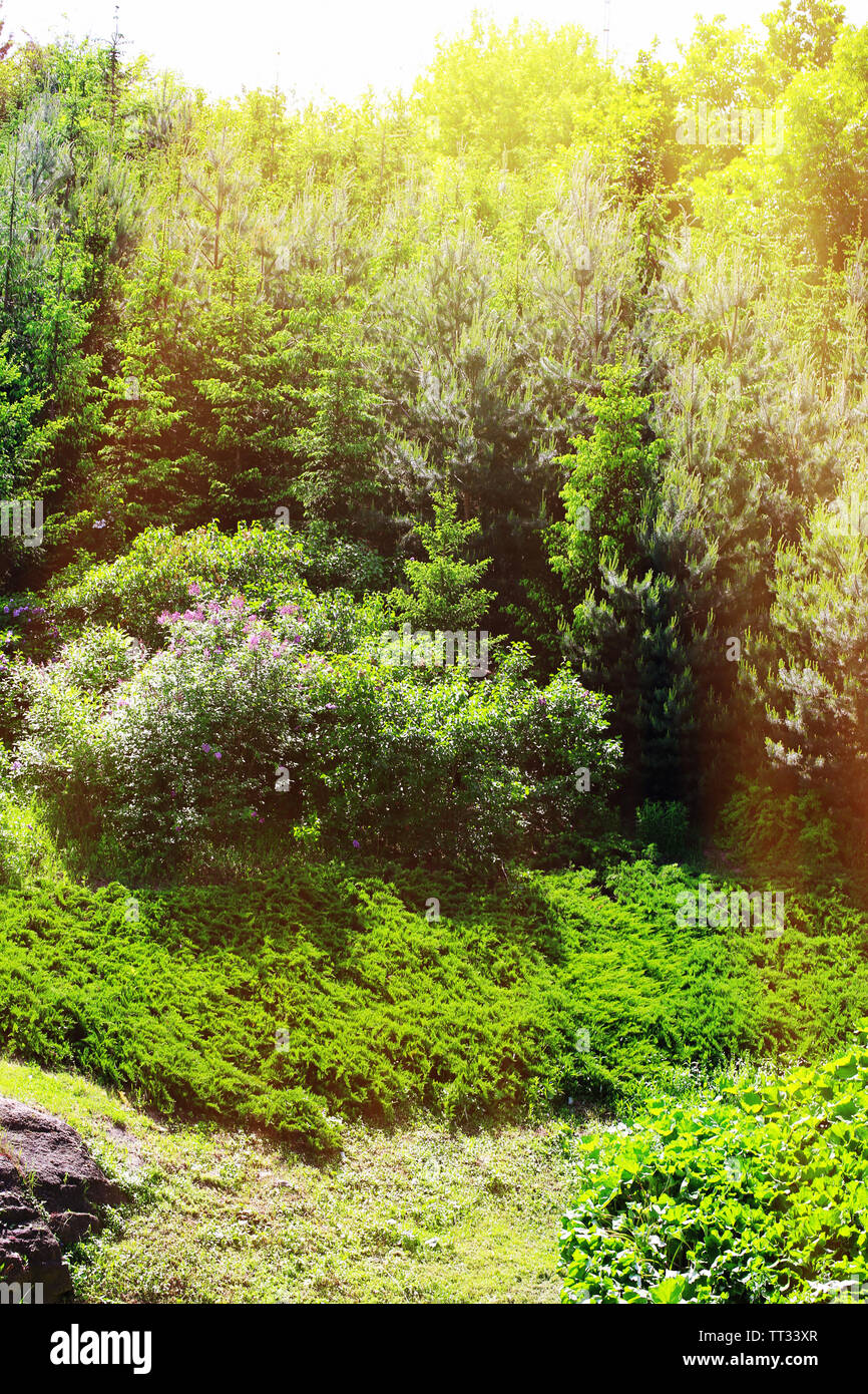 Green nature landscape Stock Photo - Alamy