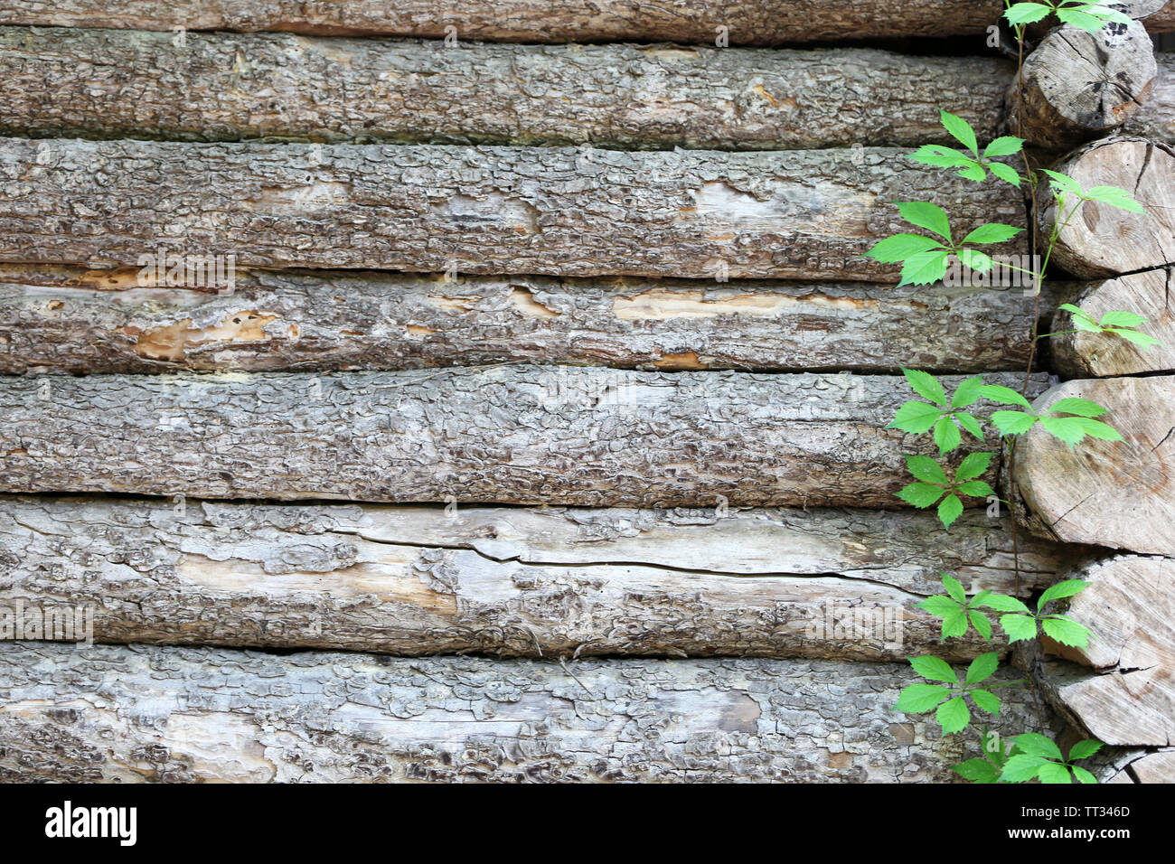 Wooden logs background Stock Photo - Alamy