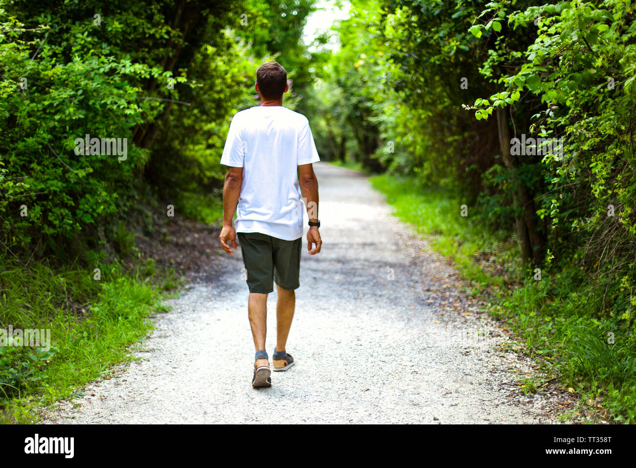 Man walking on path in summer green park. Peaceful atmosphere. Rest ...