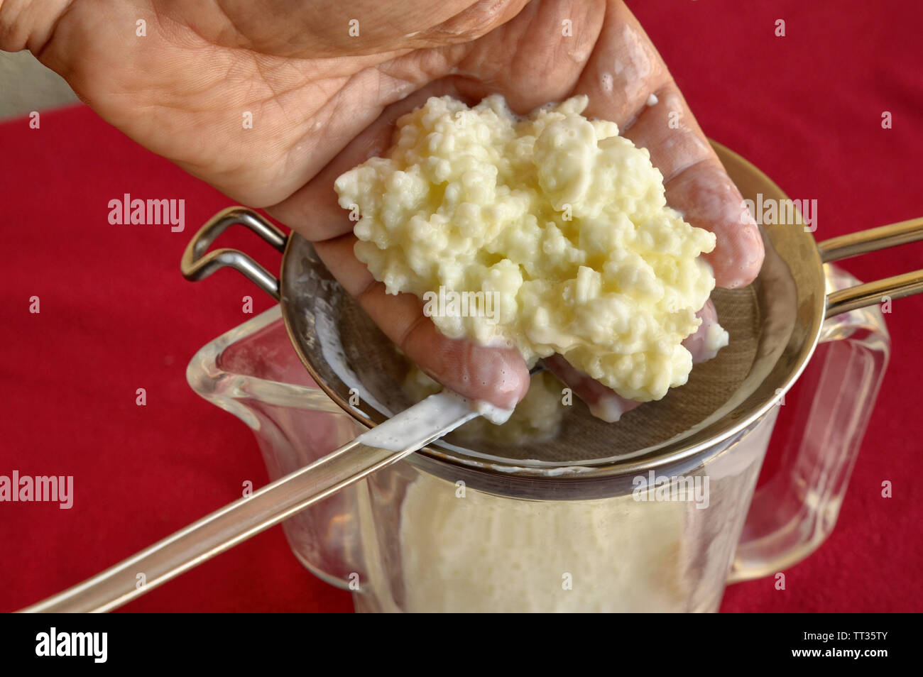 Kefir is filtered: close-up image while the spoon moves the granules to ...