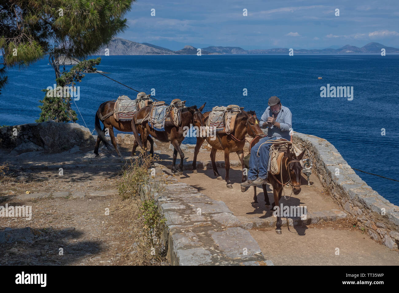Mule train hi-res stock photography and images - Alamy