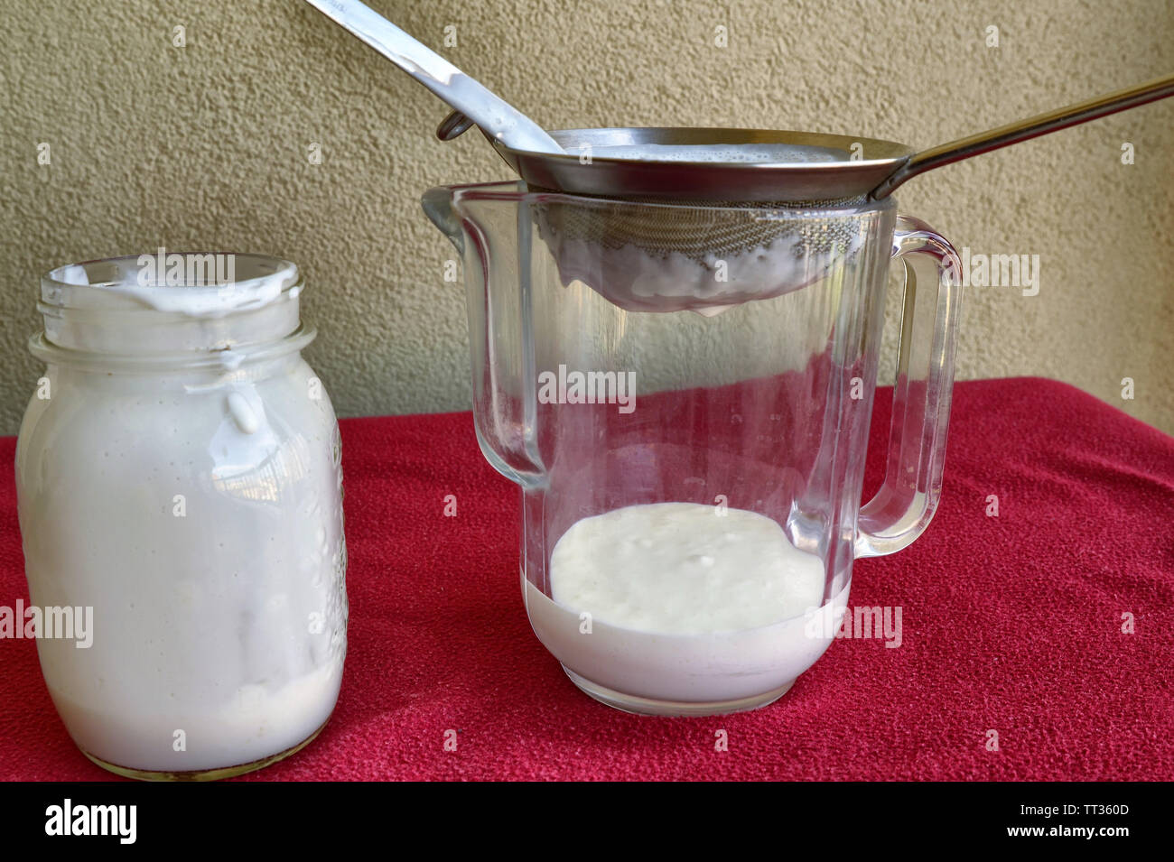 Pouring of Kefir, the glass jar is placed next to the net to pour the ...