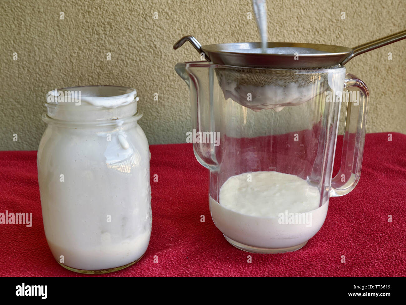 Pouring of Kefir, the glass jar is placed next to the net to pour the ...