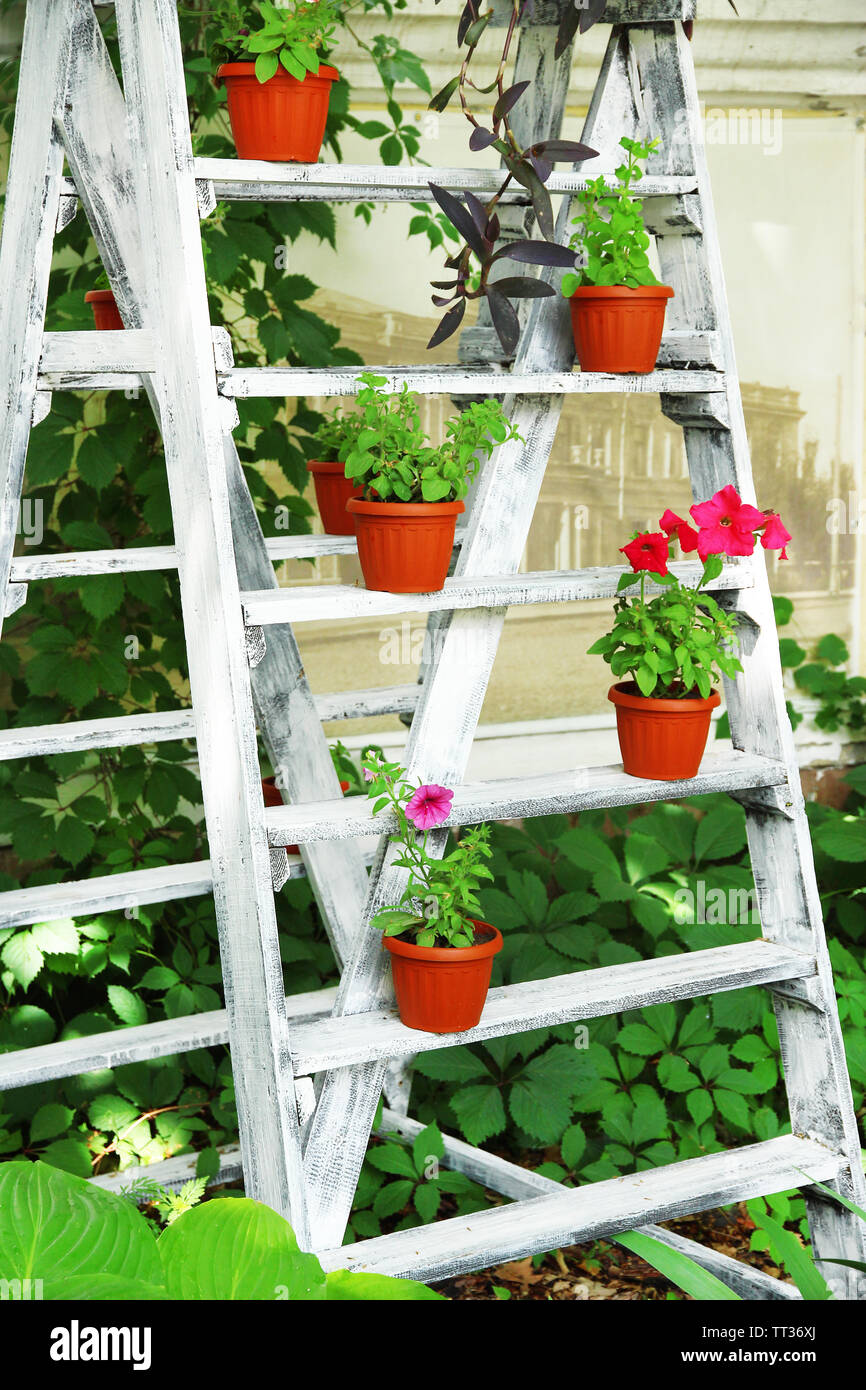 Wooden frame with flowers pots in garden Stock Photo - Alamy