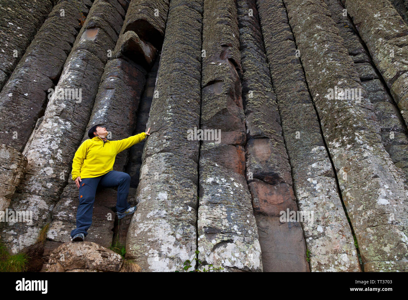 Organ Pipes Basalt Columns. The Giant's Causeway. World Heritage Site ...