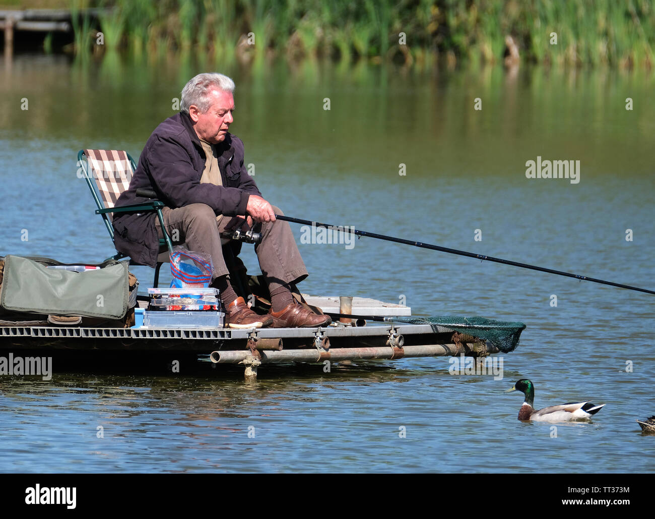 Match angler concentrating on catching fish in competition Stock Photo ...