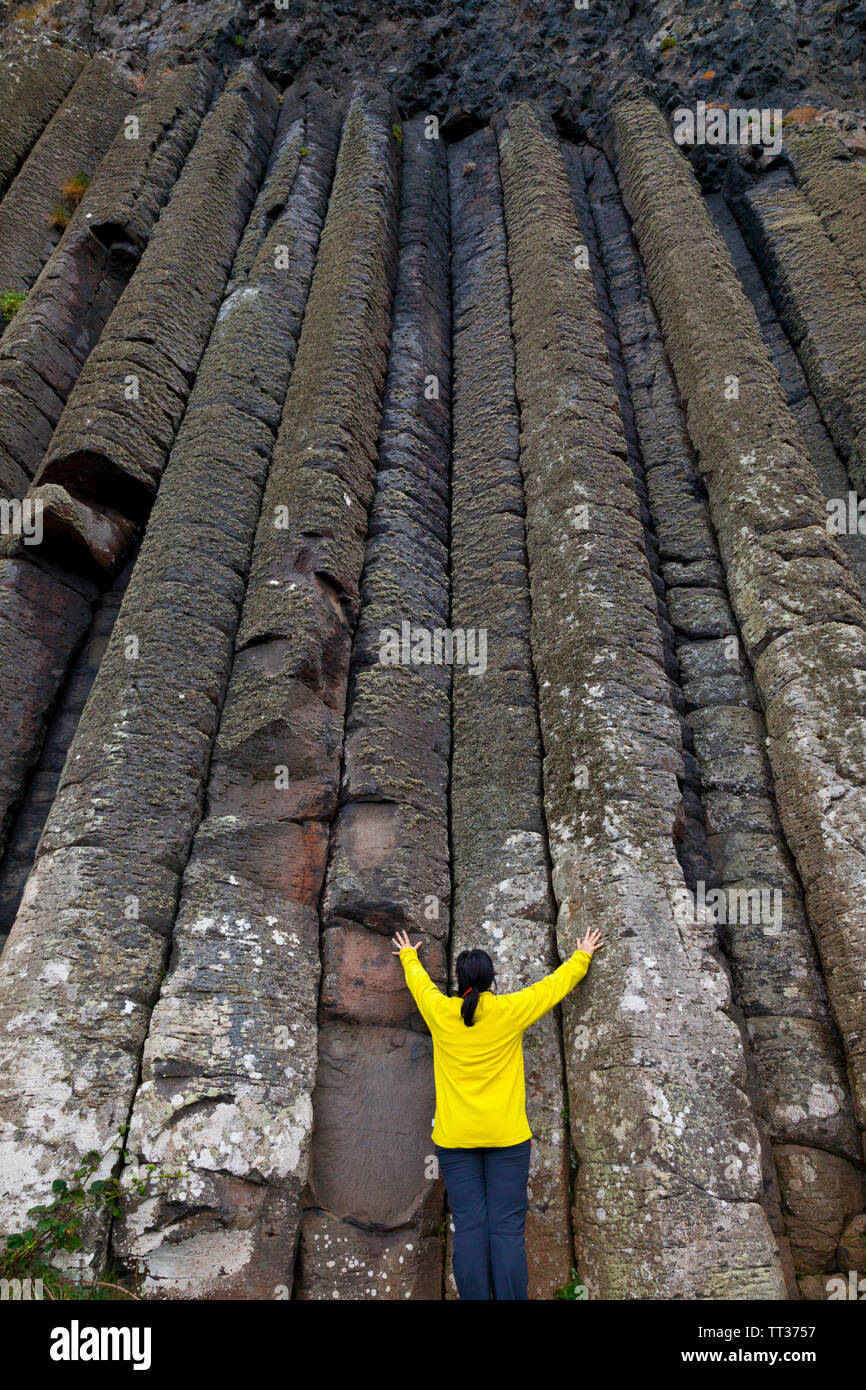Organ Pipes Basalt Columns. The Giant's Causeway. World Heritage Site ...