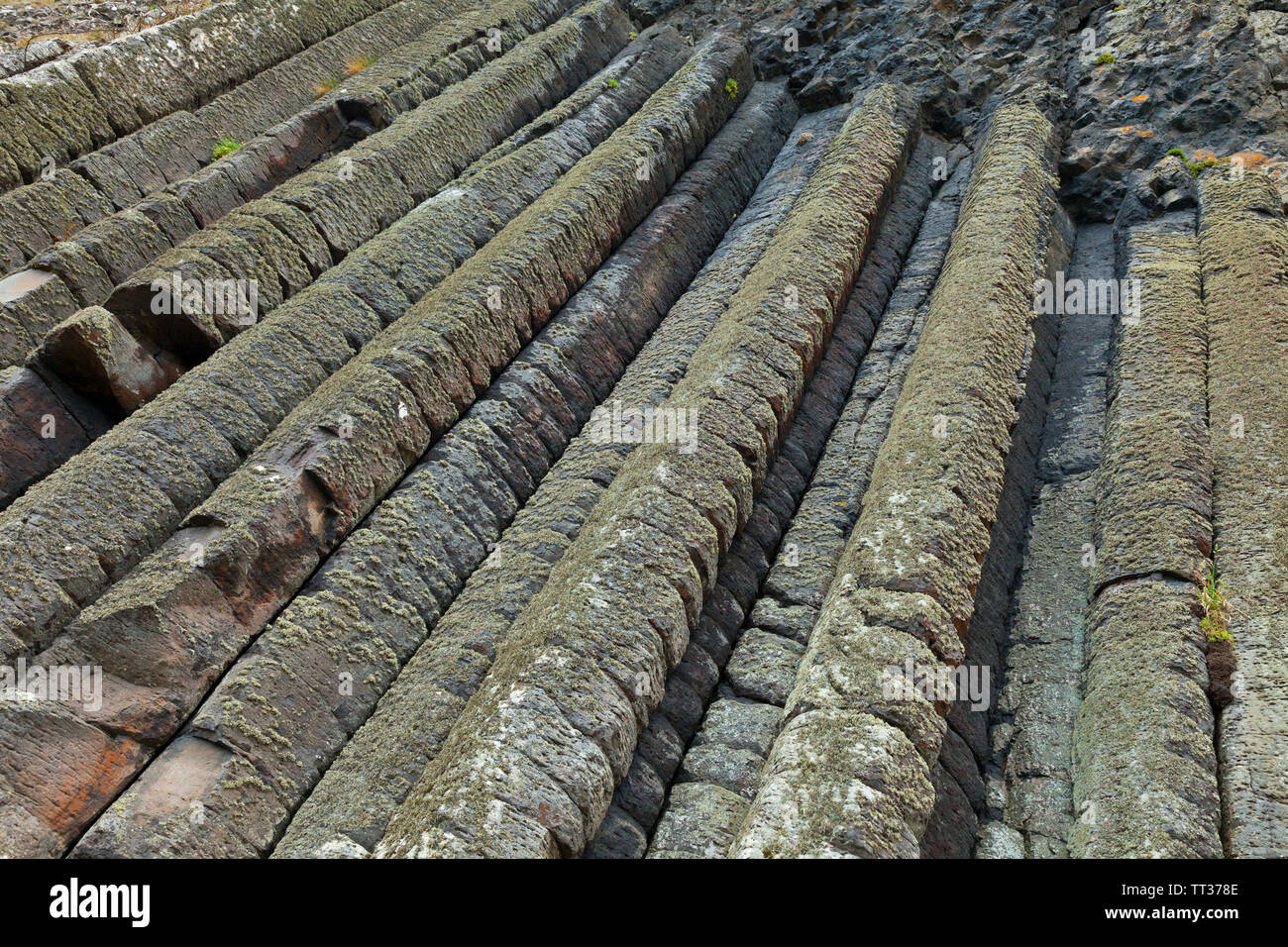 Organ Pipes Basalt Columns. The Giant's Causeway. World Heritage Site ...