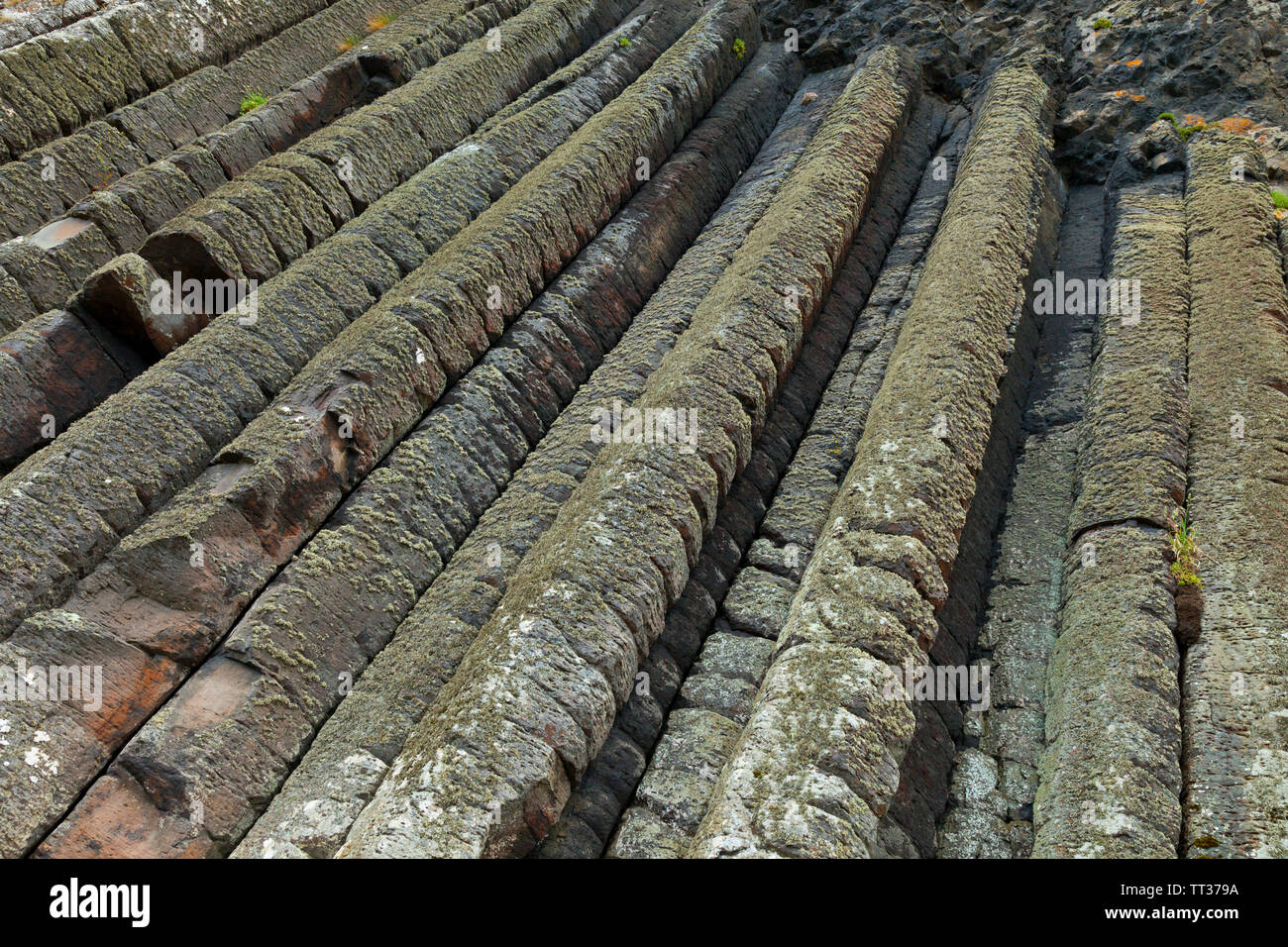 Organ Pipes Basalt Columns. The Giant's Causeway. World Heritage Site ...