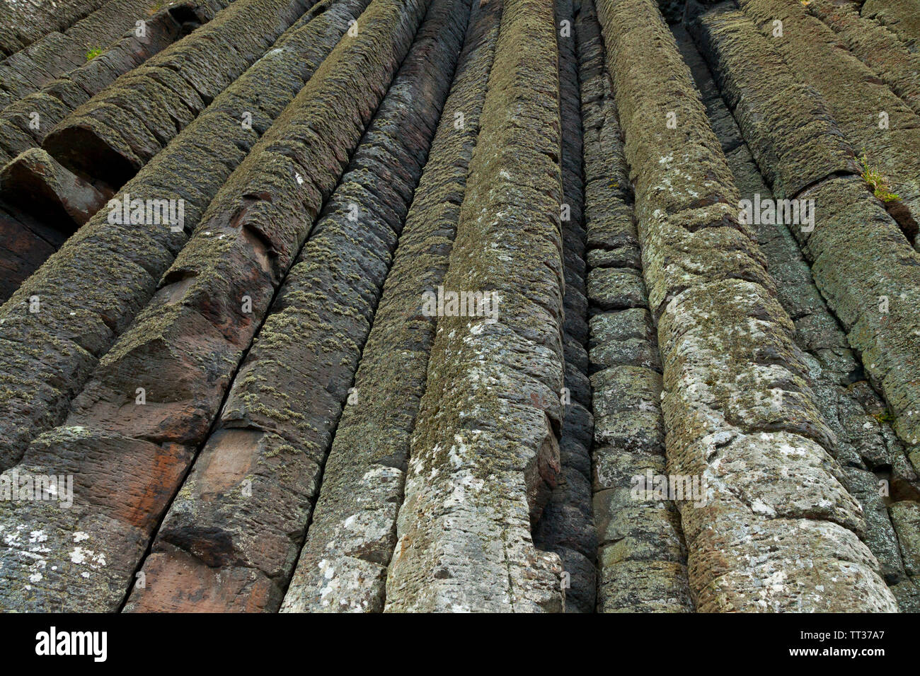 Organ Pipes Basalt Columns. The Giant's Causeway. World Heritage Site ...