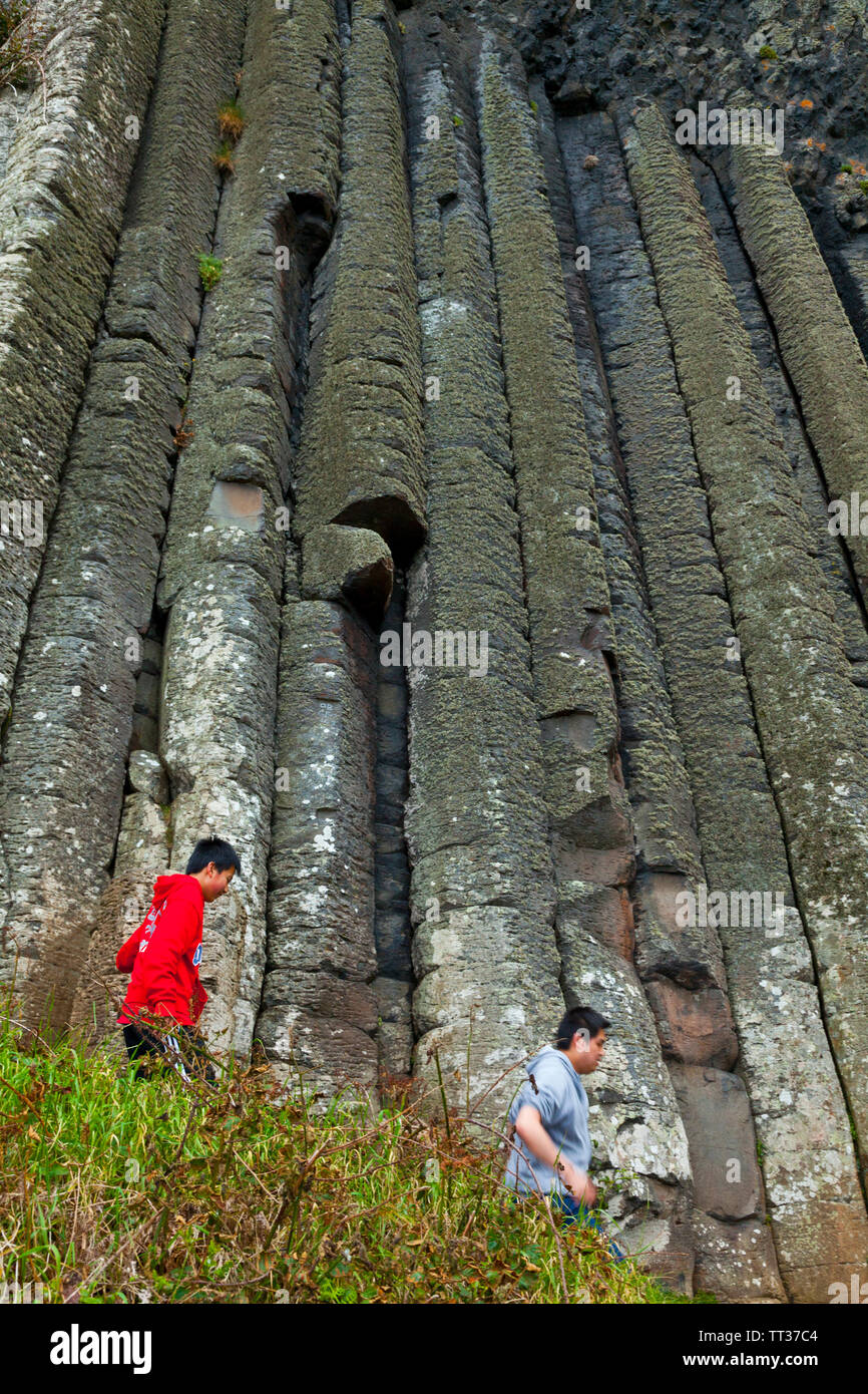 Organ Pipes Basalt Columns. The Giant's Causeway. World Heritage Site ...