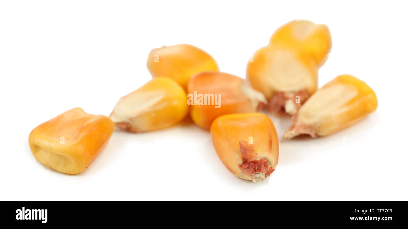 Corn seeds isolated on white Stock Photo - Alamy